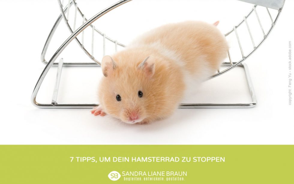 7 Tipps, um Dein Hamsterrad zu stoppen | Coaching - Stressbewältigung ...
